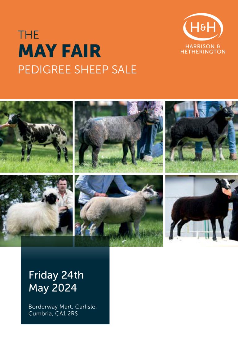 Sale catalogues – Blue Texels Sheep Society
