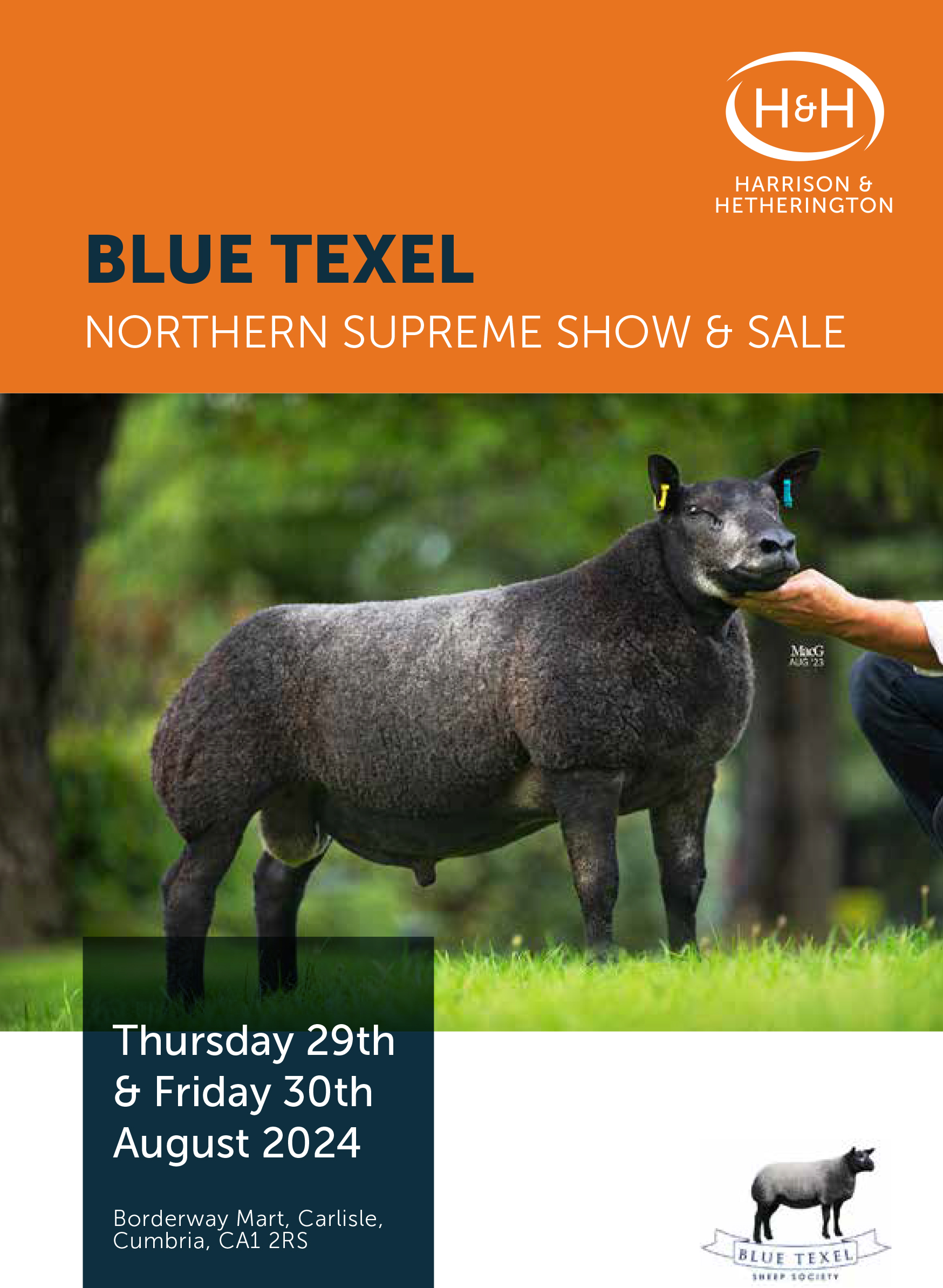 Sale catalogues – Blue Texels Sheep Society