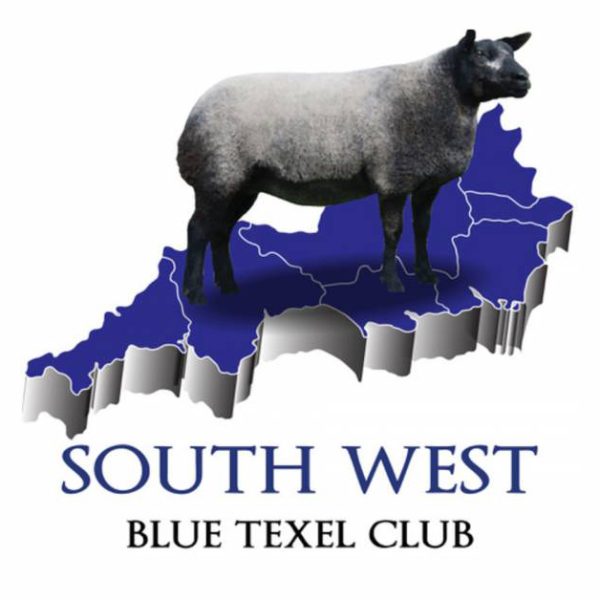 Regional – Blue Texels Sheep Society