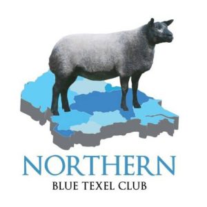 Regional – Blue Texels Sheep Society