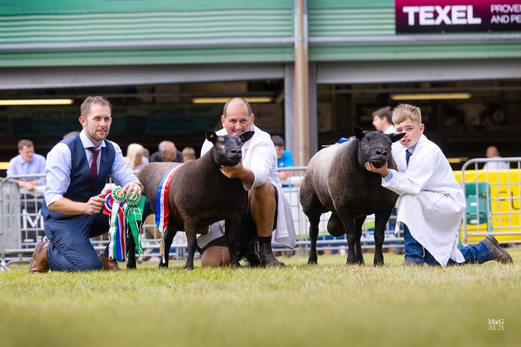 Dragon Flock ignites Royal Welsh Blue Texel championship – Page 4 ...