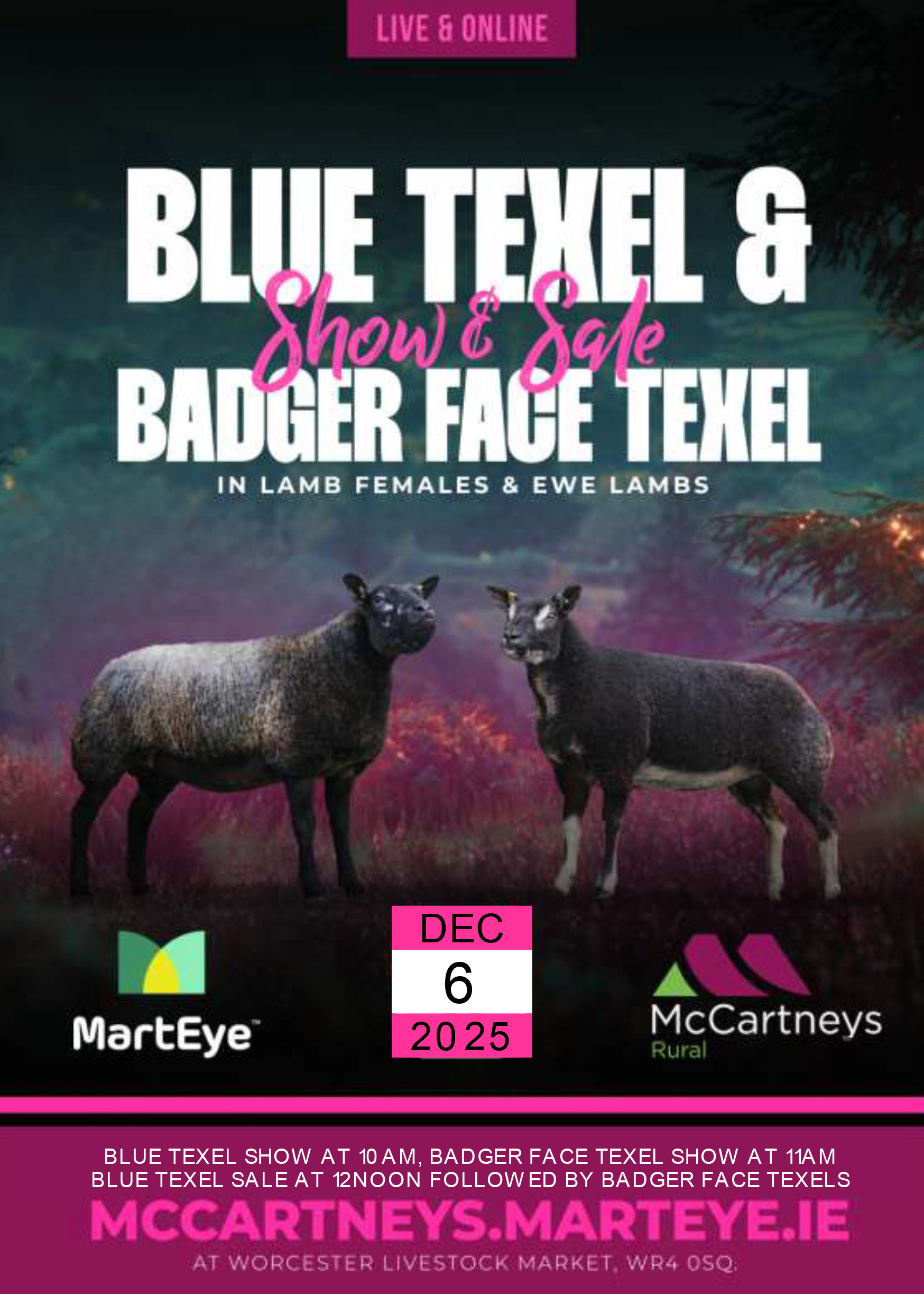 Sale catalogues – Blue Texels Sheep Society